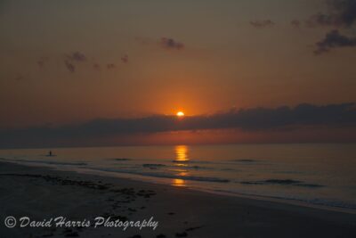 Vacation Rentals - Bolivar Peninsula Texas Tourism Events Vacations Webcams