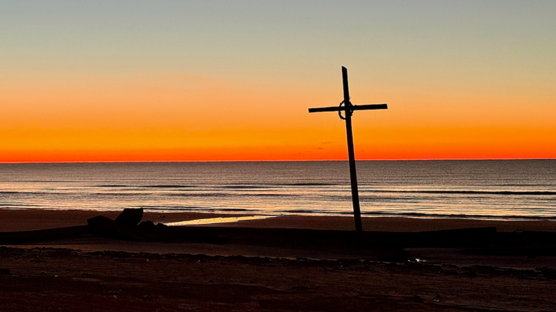 Photos - Bolivar Peninsula Texas Tourism Events Vacations Webcams